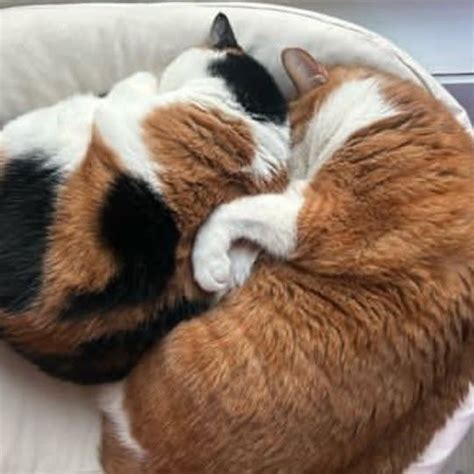 두두시루 Doodoo Siru • Threads Say More