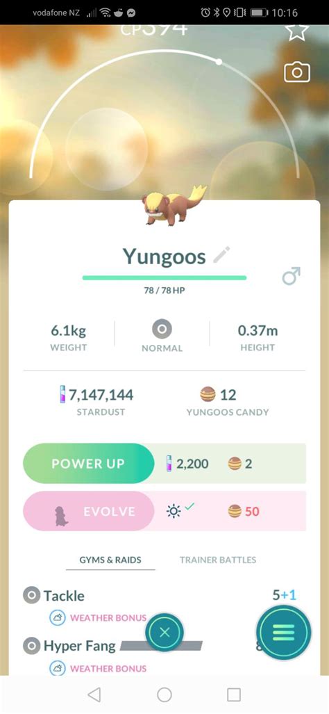 Yungoos Evolution Criteria Daytime Only R Thesilphroad