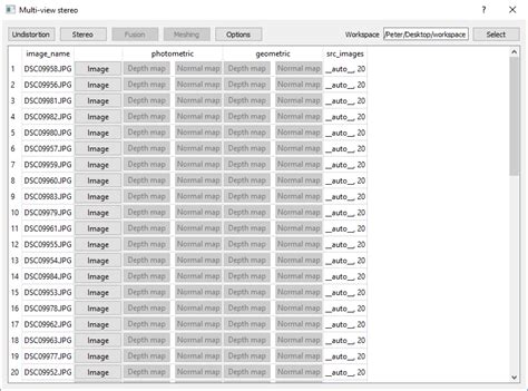 Photogrammetry Testing COLMAP Prof Peter L Falkingham