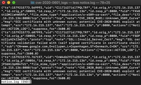 Detecting CVE Exploitation Attempts With Wire Log Data Splunk