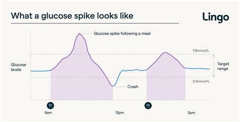 What Is A Glucose Spike Causes And Management Lingo