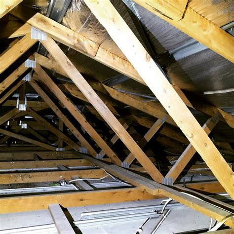 The Advantages Of Cypress Pine Timber BPI Building Pest Inspections