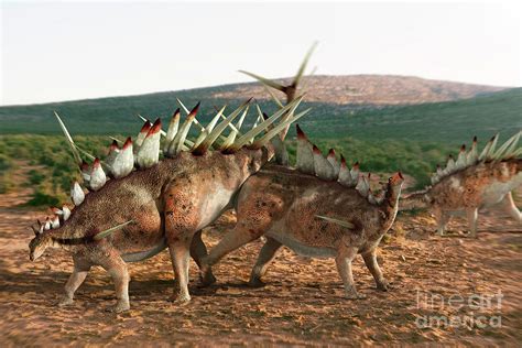 Kentrosaurus Dinosaurs By Jose Antonio PeĆas Science Photo Library
