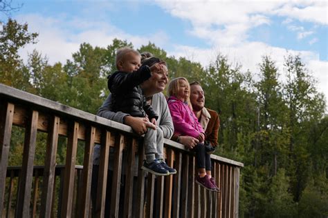 Birding By Season In Bc The Bc Bird Trail