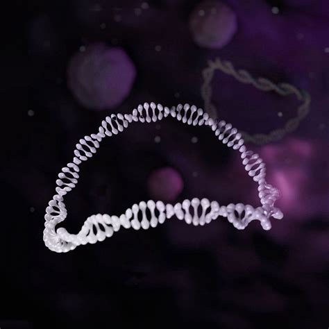 Plasmid Dna Pdna Development And Manufacturing Solutions Danaher Life Sciences