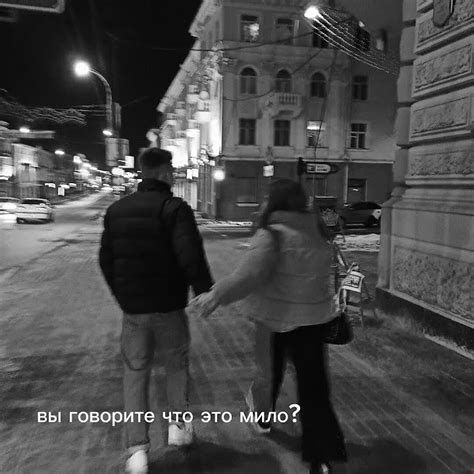 все котики милие Youtube