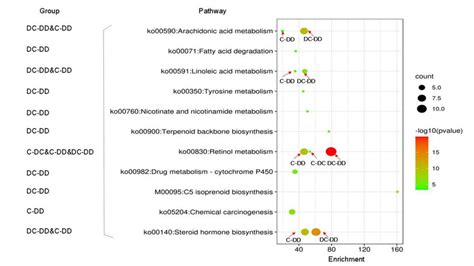 Kegg Pathway Of Common Degs Of Transcriptomics And Proteomics In Download Scientific Diagram