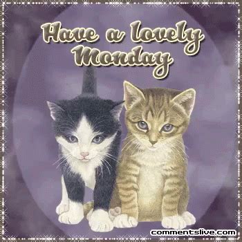 Happy Monday Images Cats
