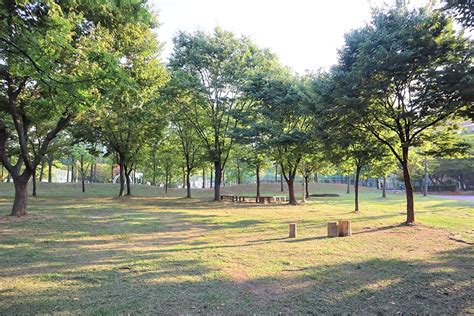 용하공원 여행 정보 이용 안내