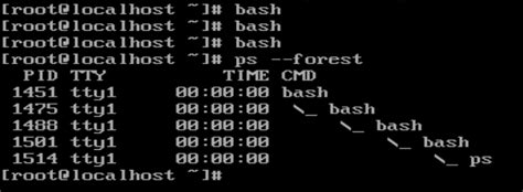 Shell Script 4 Bash Configuration Files Ali Sezişli Kernel Panic Not Syncing