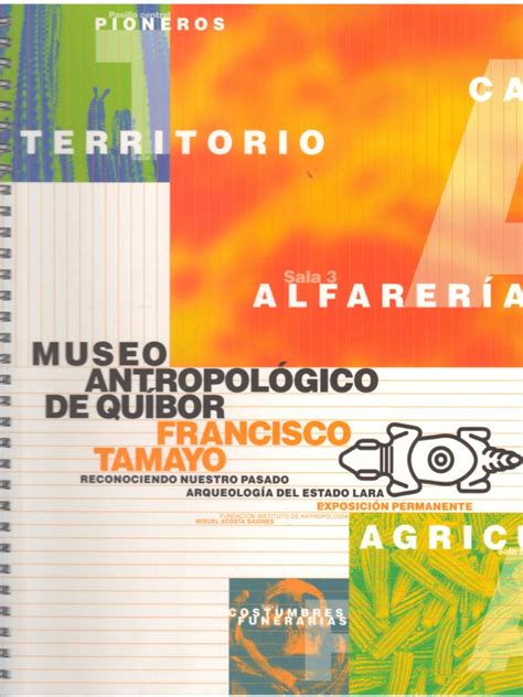 Catalogo Del Museo Antropologico De Quib Pdf Museo Venezuela