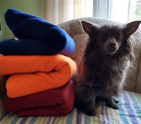 The Fuzzy Mouse It Took Long Enough But Mom Finally