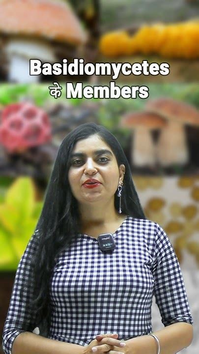 Basidiomycetes Fungi I Rpsc First Grade Biology I Rpsc Second Grade