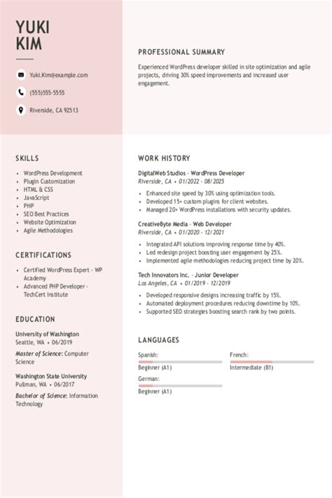 Software Developer Resume Examples And Templates