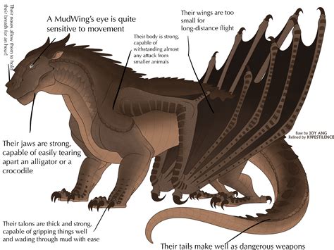 Salamanders Study Of Dragons 1 Mudwings Fandom