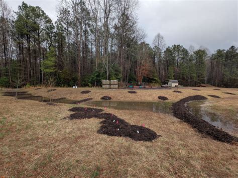 The Reed Center For Ecosystem Reintegration