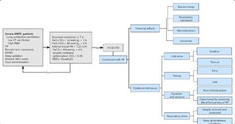 Areas Of Consensus And Controversy In Severe Ards Management Gray Box
