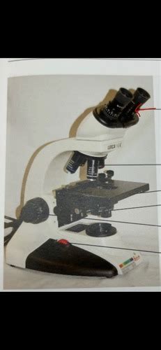 Microscope Flashcards Quizlet