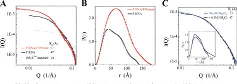 The Bacillus Subtilis Rnase P Holoenzyme Contains Two Rnase P Rna And Two Rnase P Protein
