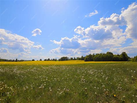 Rural Landscape With A Meadow On A Hot Sunny Day Premium Photo