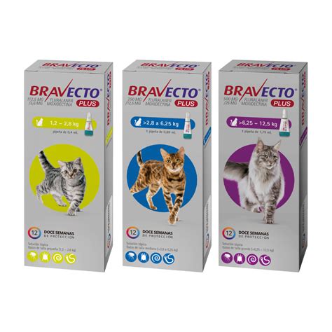 Bravecto Plus Gato 28 A 625kg Centropetcl