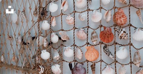 A Tree With Many Small Round Objects On It Photo Free Kos Image On