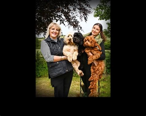 Galleries Of Cockapoo Photos Jandaz Cockapoos