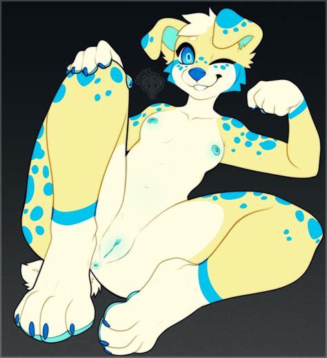 Rule 34 Absurd Res Anthro Anus Blue Body Blue Fur Breasts Canid