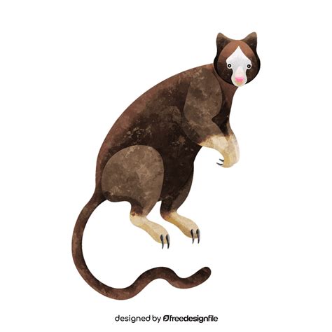 Tree Kangaroo Clipart Free Download