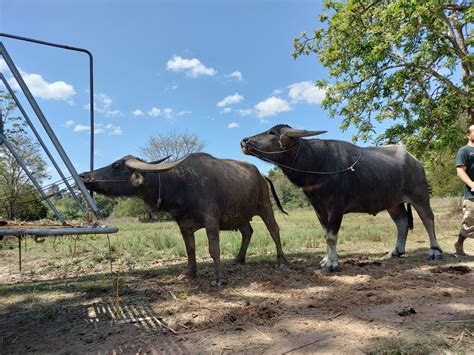 Rolling Project 2015 1st Added Rolling Project 2015 1st