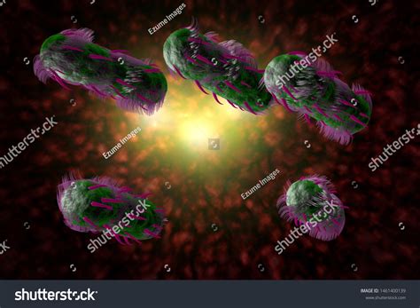 Escherichia Coli Known Ecoli Bacteria Health Stok İllüstrasyon 1461400139 Shutterstock
