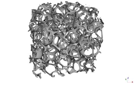 New Webinar In Situ And Dynamic Imaging With Tescan Micro Ct