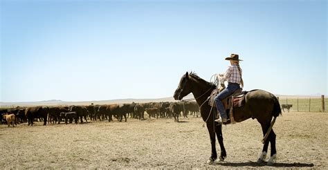 Sagebrush Dolls Western Collection