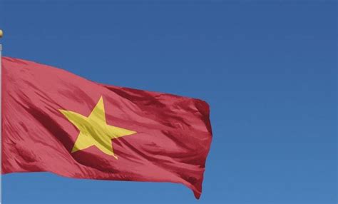 Uria Roboflow Universe