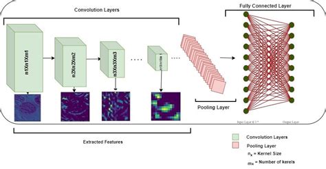 Architecture Of Convolutional Neural Network Download Scientific Diagram