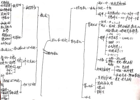 生理学思维导图（人卫绿皮版，中西医均可用） 哔哩哔哩