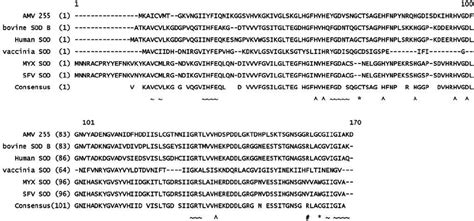 Alignment Of Sod Genes From Viral And Cellular Sources The Sequences