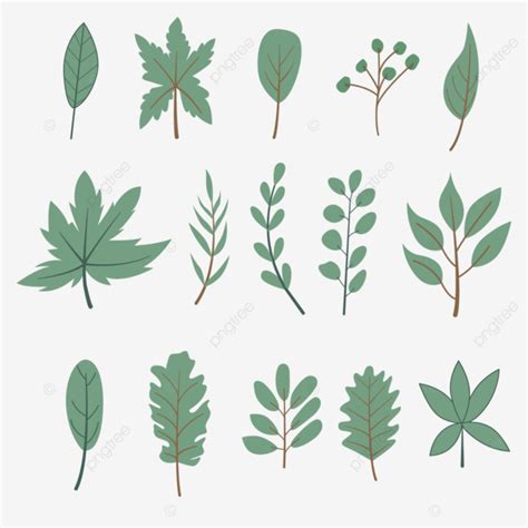 Set Of Green Leaf Design Elements Leaf Leaves Element Png And Vector