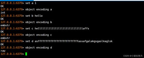 【redis】redis五种常用数据类型和内部编码 以及对string字符串类型的总结 jedis string utf8 csdn博客