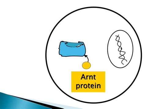 Dioxins Pptx Chemistry Science