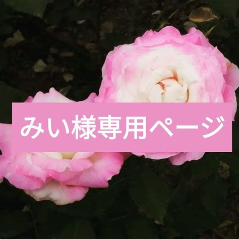 みい様専用ページ 日舞 踊り用 着物and袴セット 女性 中古 狂言 民謡 新舞踊 メルカリ