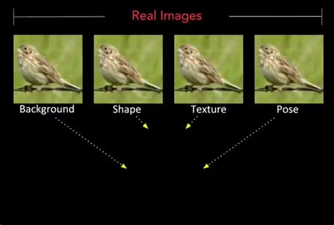 kafeel ahmad butt on linkedin deeplearning