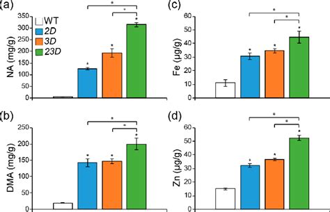 Increment Of Fe And Zn Concentrations In The Mature Seeds Levels Of Na