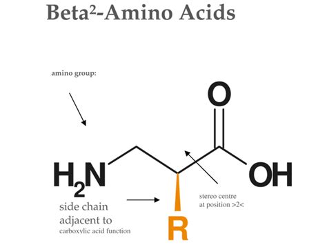 Beta2 Amino Acids Synthesis Approaches And Compounds Chiroblock