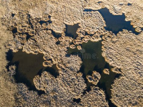 Aerial Autumn View Of Dragoman Marsh Bulgaria Stock Image Image Of Bulgaria Environment