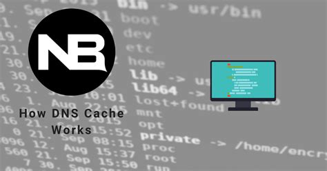 How DNS Cache Works And How To Clear Entries