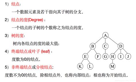 数据结构 第6章 树和二叉树 知识点1 树的概念和术语 数据结构教程第6版树知识点汇总 csdn博客