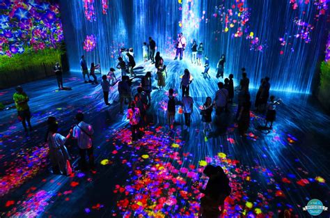 Is Teamlab Borderless Worth It In Tokyo Review And Essential Tips