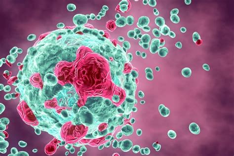 What Are The Different Types And Treatments Of Neoplasms Facty Health