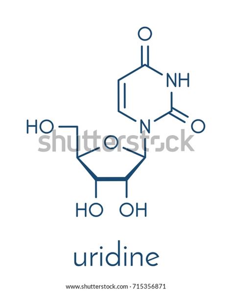 Uridine Over 94 Royalty Free Licensable Stock Vectors And Vector Art